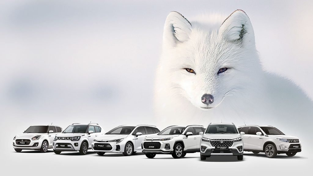 Snowfox - neue Sondermodelle von Suzuki - Autopresse